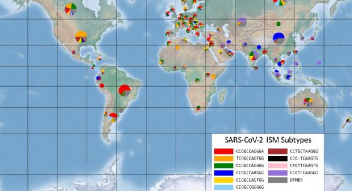 Genetic tracing 'barcode' is rapidly revealing COVID-19's journey and ...