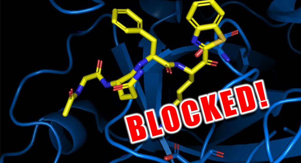 Antiviral compound blocks SARS-CoV-2 from entering cells - Mega Doctor News