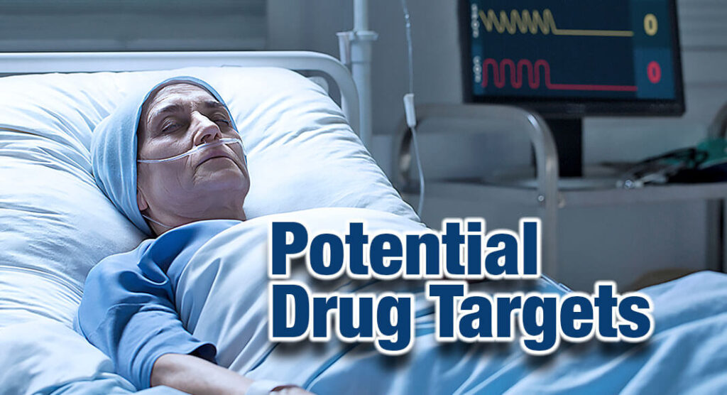 Mayo Clinic discovery in bone marrow cancer points to potential drug ...