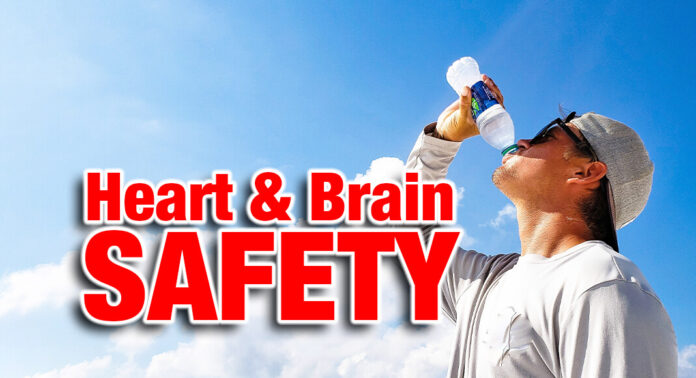 9 ways to protect your heart and brain from the summer heat - Mega ...