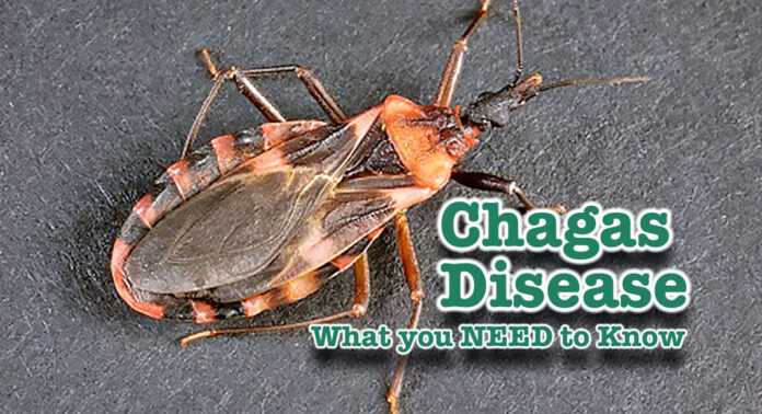 What You NEED to Know About Chagas Disease - Mega Doctor News