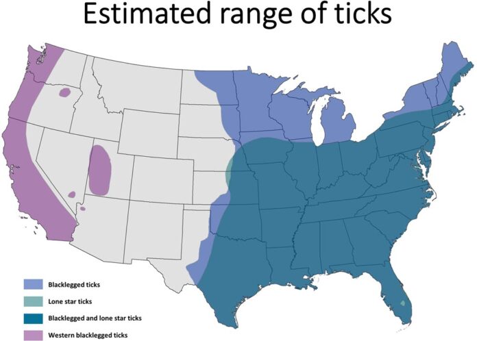 Preventing Tick Bites - Mega Doctor News