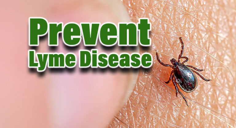 Preventing Tick Bites & Lyme Disease - Mega Doctor News