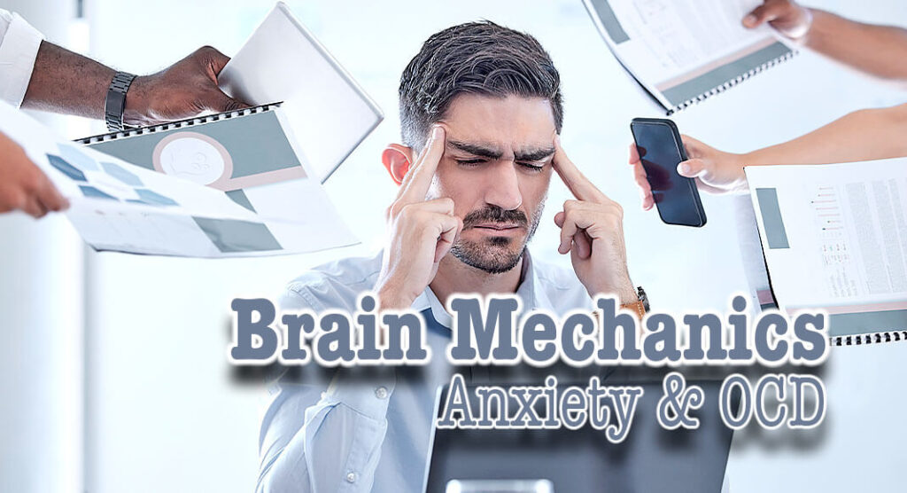 Newly Discovered Brain Mechanism Linked to Anxiety, OCD - Mega Doctor News Newly Discovered Brain Mechanism Linked to Anxiety, OCD - Mega Doctor News