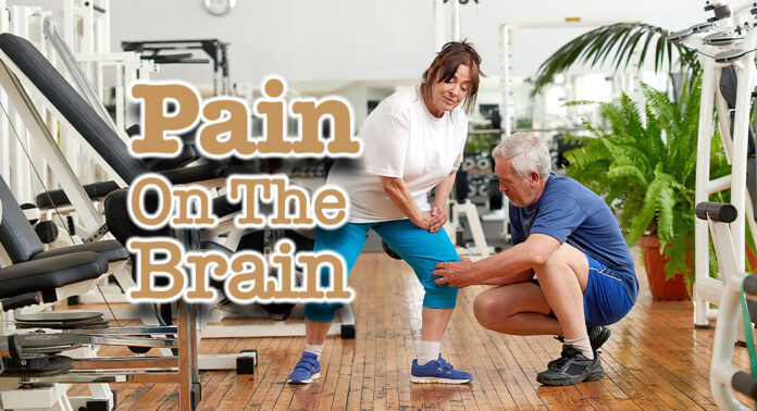 How Chronic Knee Osteoarthritis Pain Affects Cognitive Function Mega