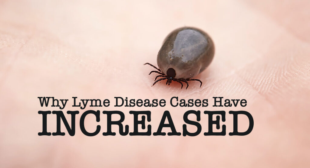 Why Confirmed Cases Of Lyme Disease Have Increased - Mega Doctor News