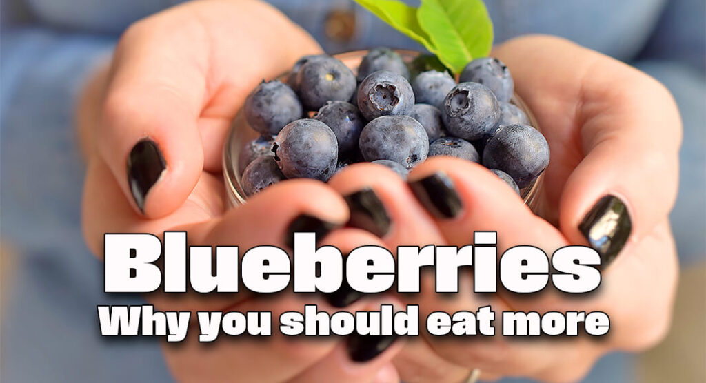 Why You Should Eat More Blueberries - Mega Doctor News