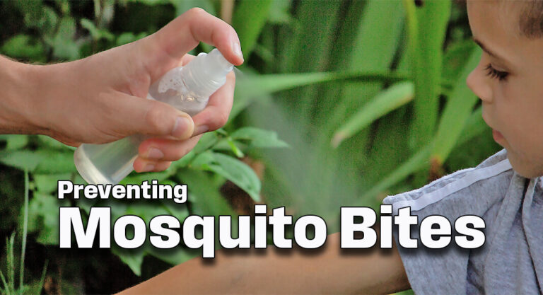 Preventing Mosquito Bites - Mega Doctor News