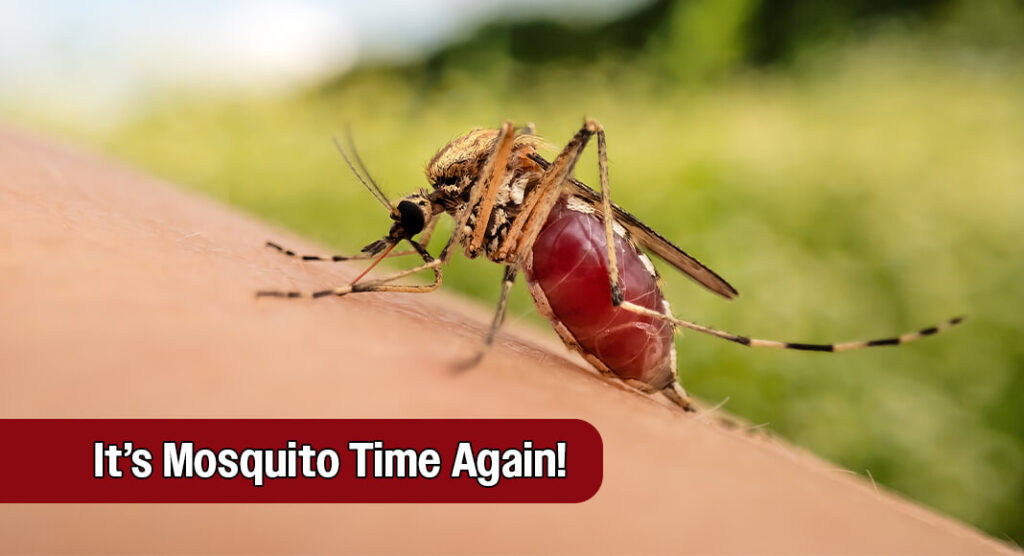 Tips for Preventing and Treating Mosquito Bites - Mega Doctor News
