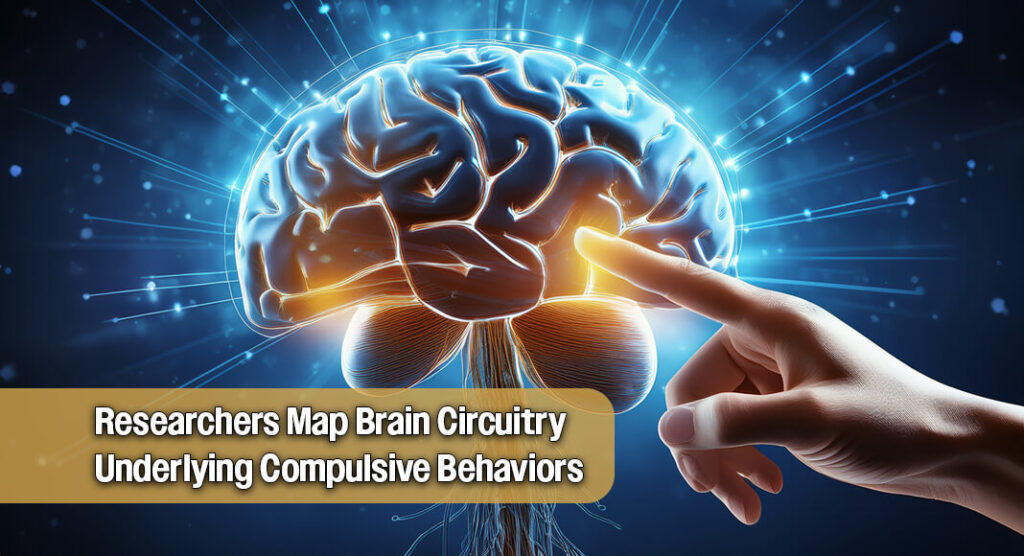 Frontal Cortex Signal Found to Drive OCD Symptoms, Study Shows - Mega ...